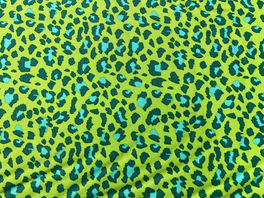 Jungle Paradise Seedling – Wee Scotty